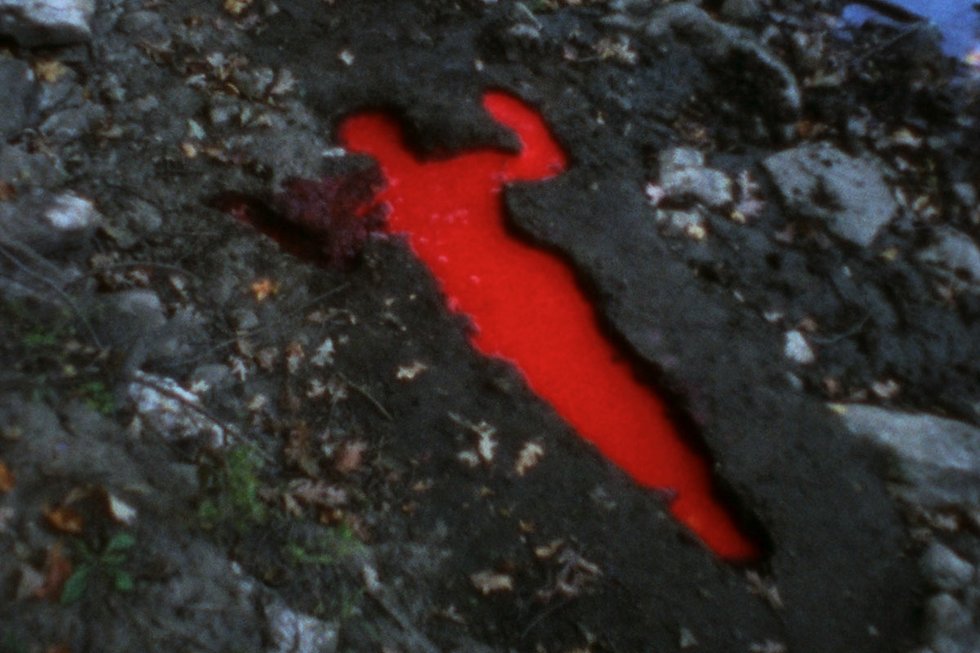 Ana Mendieta: performance art without the masochism - NOW Magazine