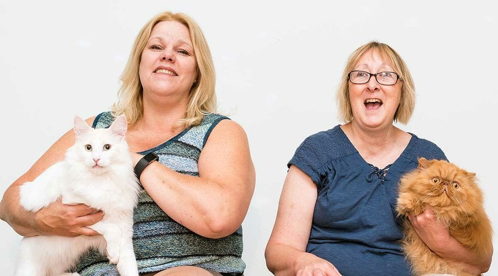 Catwalk: Tales From The Cat Show Circuit gives you claws to celebrate ...