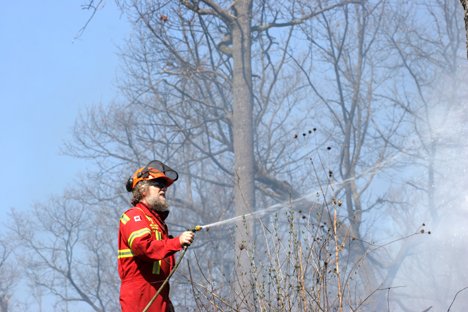 High Park's controlled burn - NOW Magazine