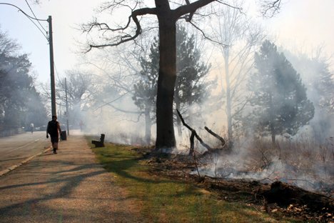 High Park's controlled burn - NOW Magazine