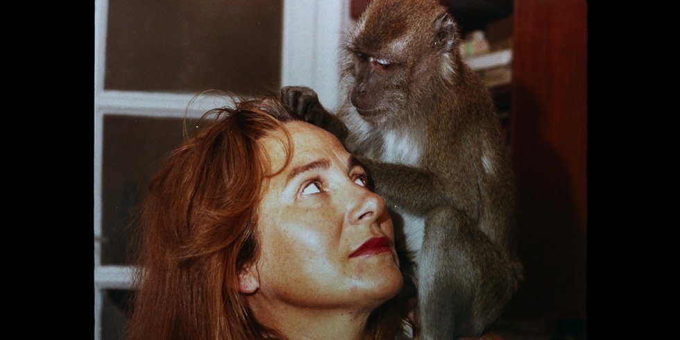 Lots Of Kids, A Monkey And A Castle - NOW Magazine