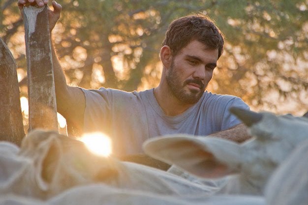 >>>Take a ride on Neon Bull - NOW Magazine