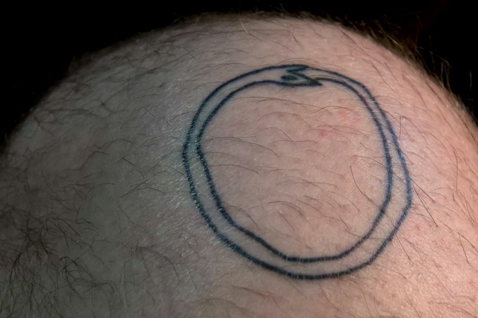 Images Festival honours Steve Reinke and spotlights moving image arts ...