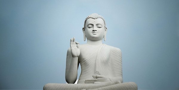 Zen and the art of surviving Donald Trump - NOW Magazine