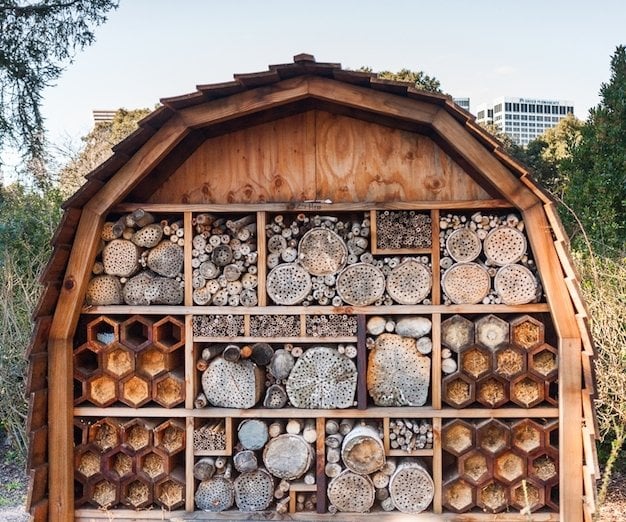 For just $75, you can be the proud proprietor of a bee hotel - NOW Magazine