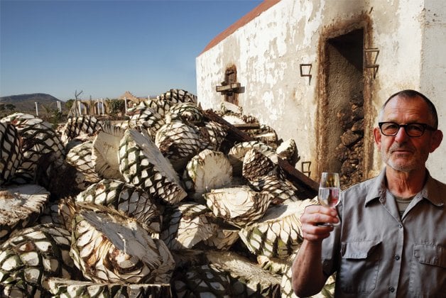 Talkin' tequila: Expert Tomas Estes honours agave - NOW Magazine