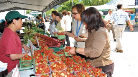 Support our local farmers - NOW Magazine