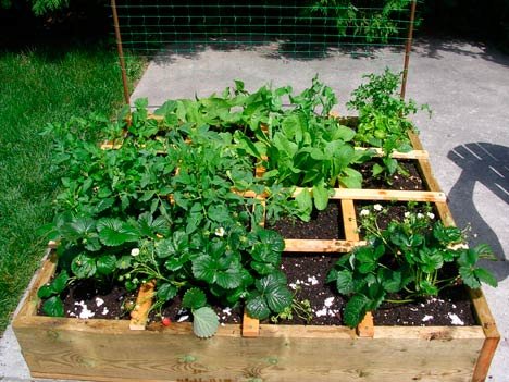 Loco for locavore - NOW Magazine