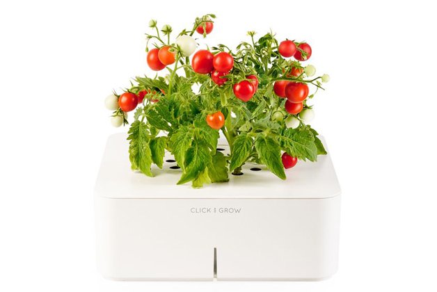 The Click & Grow Smart Pot - NOW Magazine