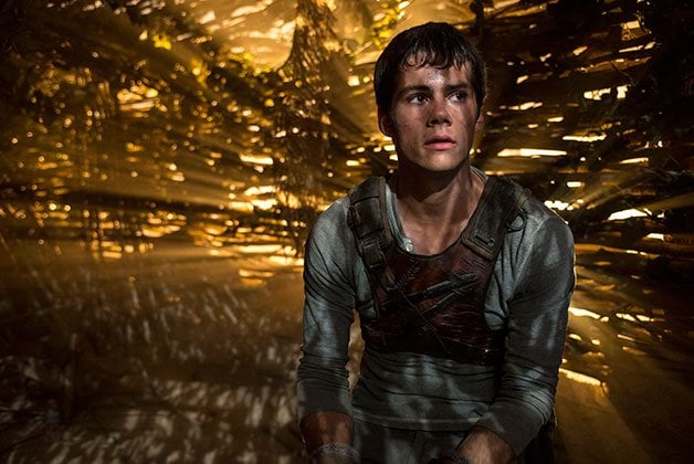 The Maze Runner - NOW Magazine