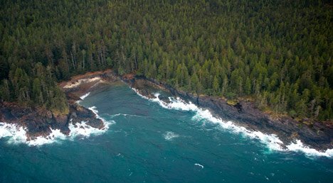 The National Parks Project - NOW Magazine