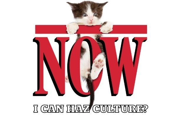 Which cat is the cutest cat? - NOW Magazine