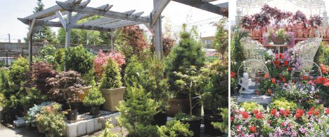 Outdoor living outlets - NOW Magazine