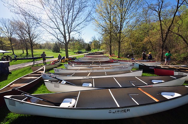 That's a-paddlin' - NOW Magazine