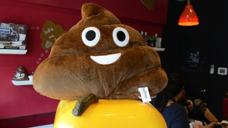 Video: Inside Torontos Poop Cafe - NOW Magazine