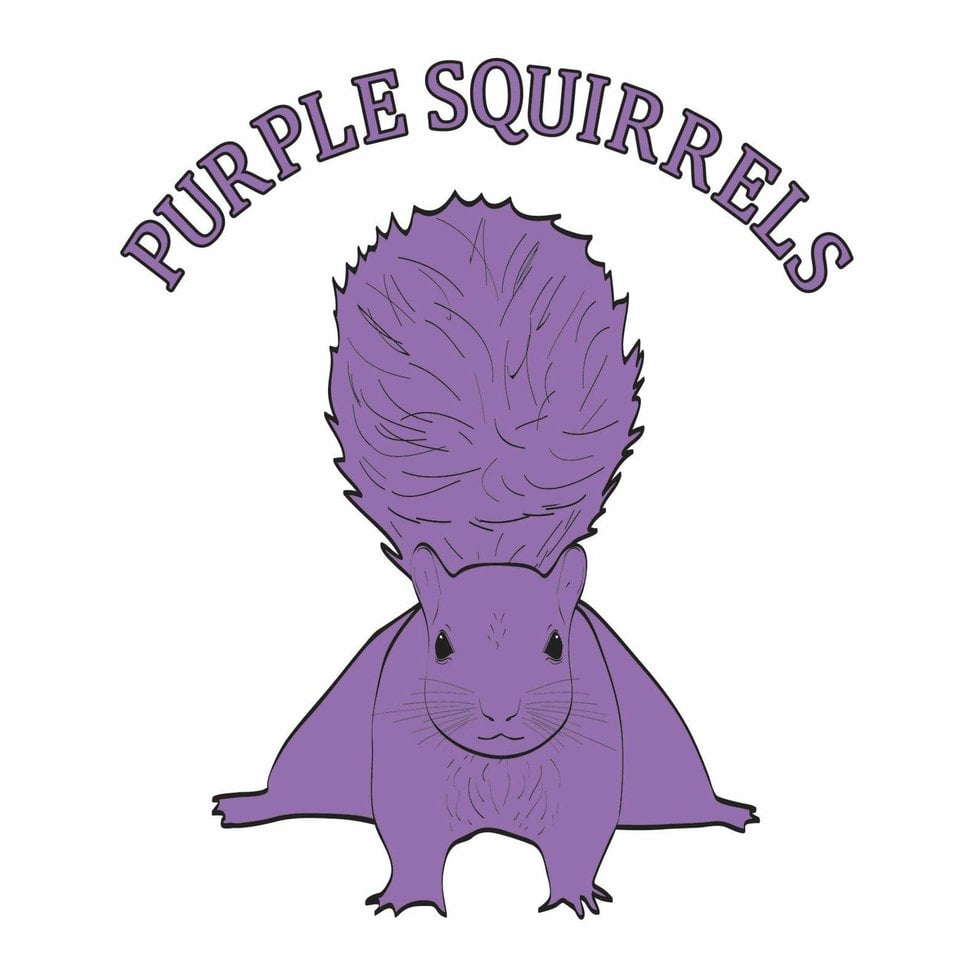 Purple Squirrels - NOW Magazine