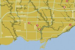 Ravine secrets - NOW Magazine