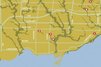 Ravine secrets - NOW Magazine