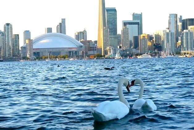 No Jets T.O.'s floating demonstration - NOW Magazine