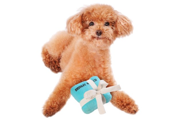 Sniffany & Co. toy - NOW Magazine