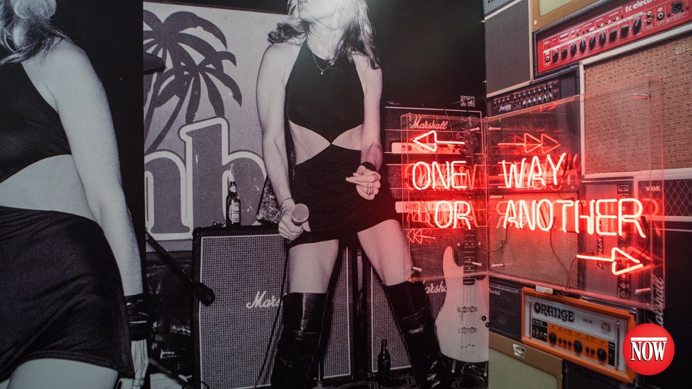 Here are NOW's Toronto Zoom backgrounds - NOW Magazine