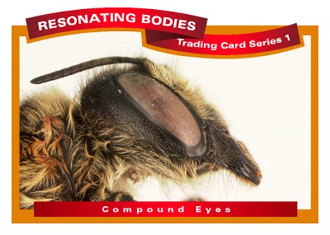 Newsfront - NOW Magazine