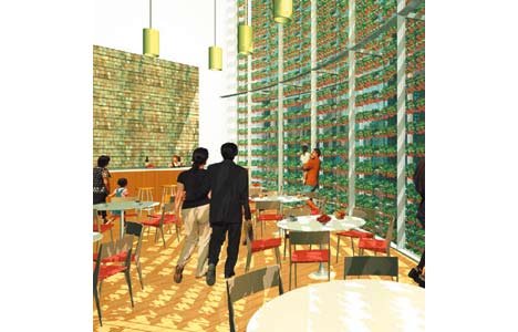 The future of farming in Toronto - NOW Magazine