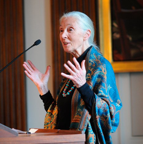 Jane Goodall, pretty good - NOW Magazine