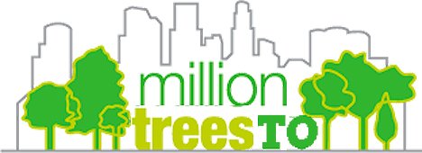 The million tree march - NOW Magazine