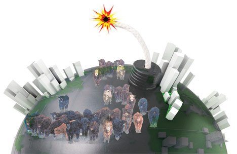 Population bomb - NOW Magazine