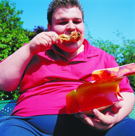 The skinny on whats eating us - NOW Magazine