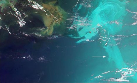 Happening NOW: May 21, 2010 - NOW Magazine