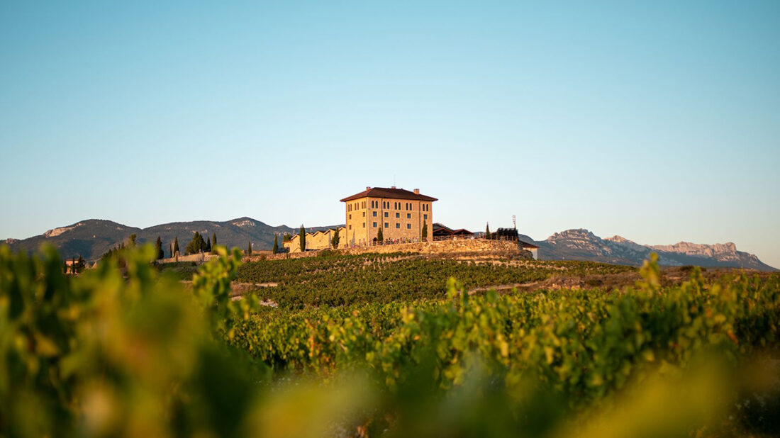 Meet the winery reinventing Riojan classics - NOW Magazine