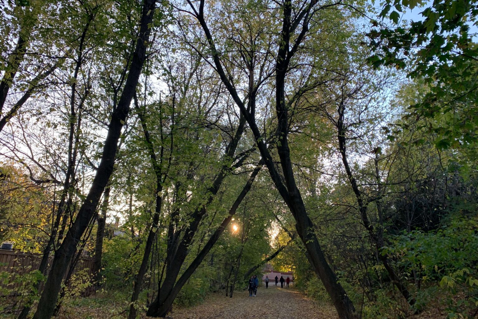 Pandemic walk: the Kay Gardner Beltline Trail - NOW Toronto