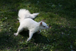 The best Toronto photos from 2020 - NOW Magazine