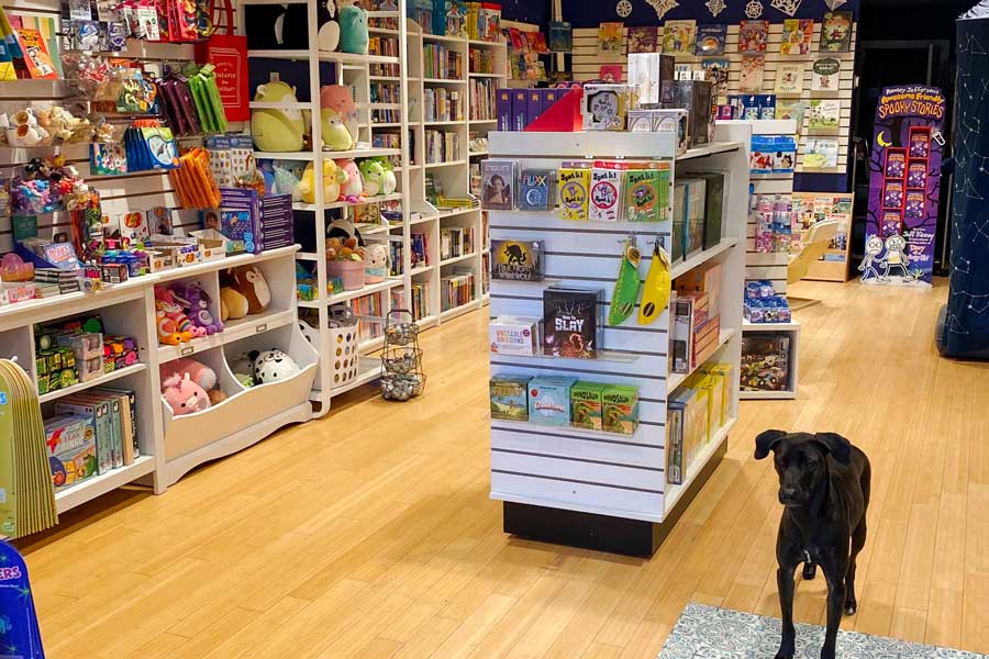 Canadian Independent Bookstore Day is your time to support local book shops