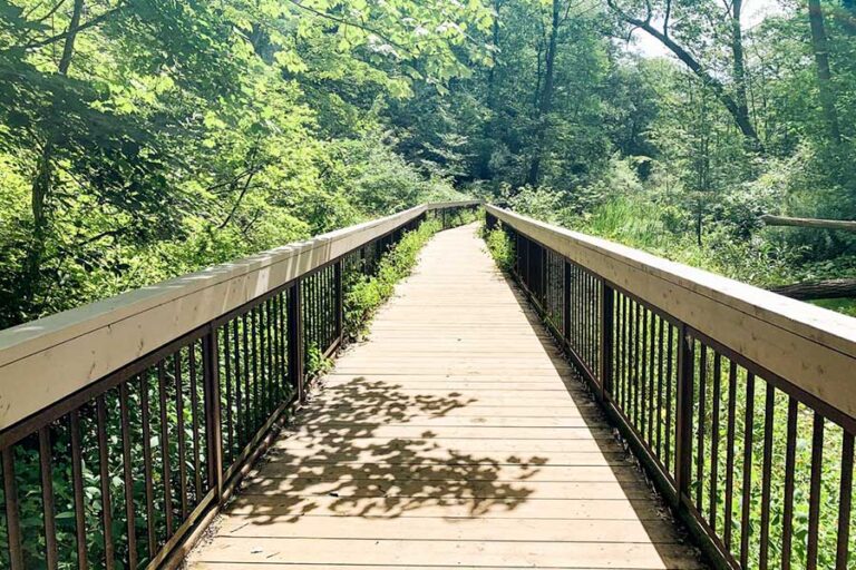 The top 20 walks in Toronto - NOW Toronto