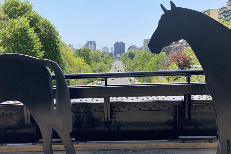 The 12 best bike trails in Toronto - NOW Toronto
