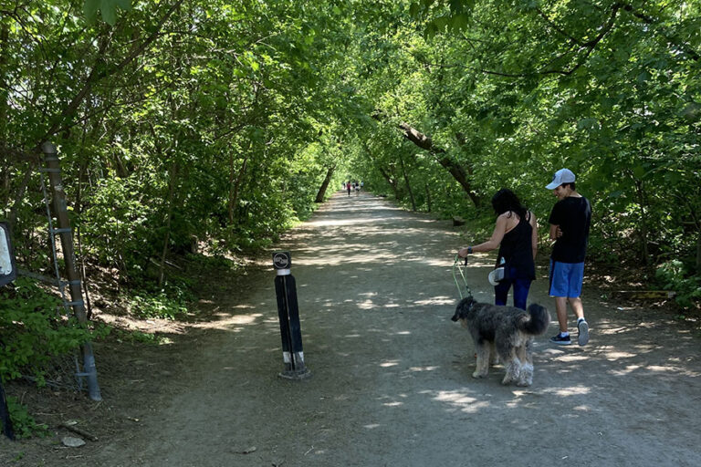 The 12 best bike trails in Toronto - NOW Toronto