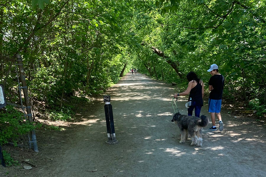The 12 best bike trails in Toronto - NOW Magazine