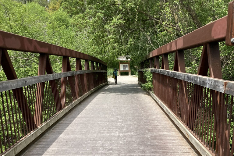 The 12 best bike trails in Toronto - NOW Magazine