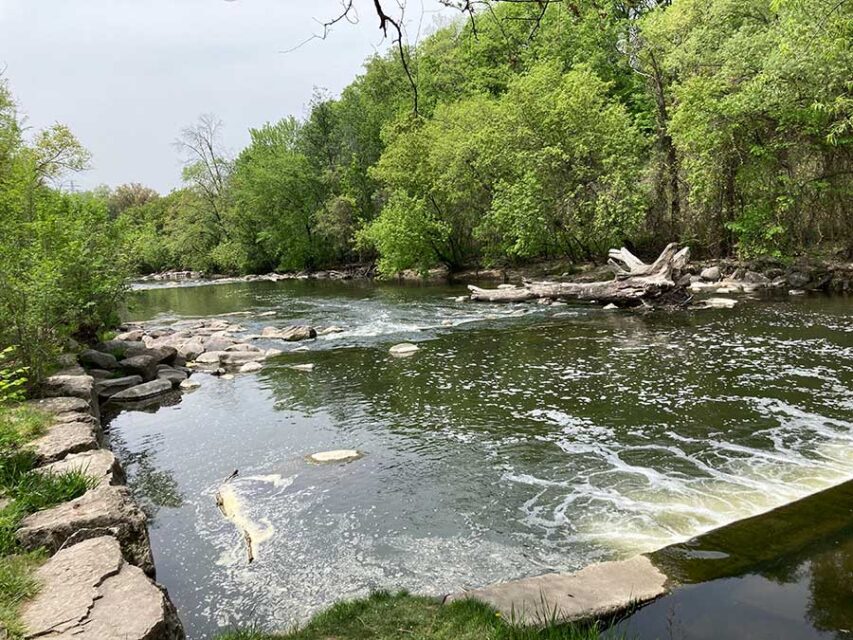 The 12 best bike trails in Toronto - NOW Magazine