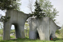 The 12 best bike trails in Toronto - NOW Magazine