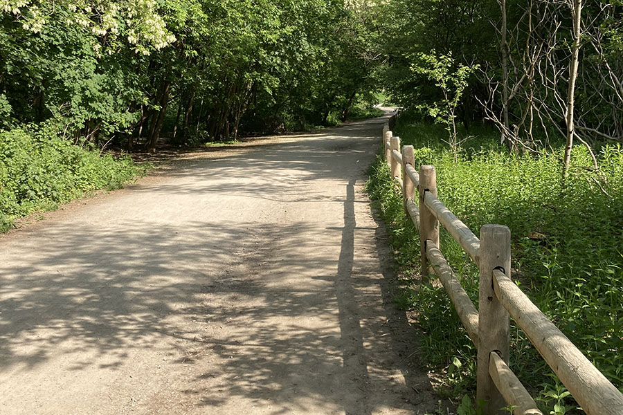 The 12 best bike trails in Toronto - NOW Magazine