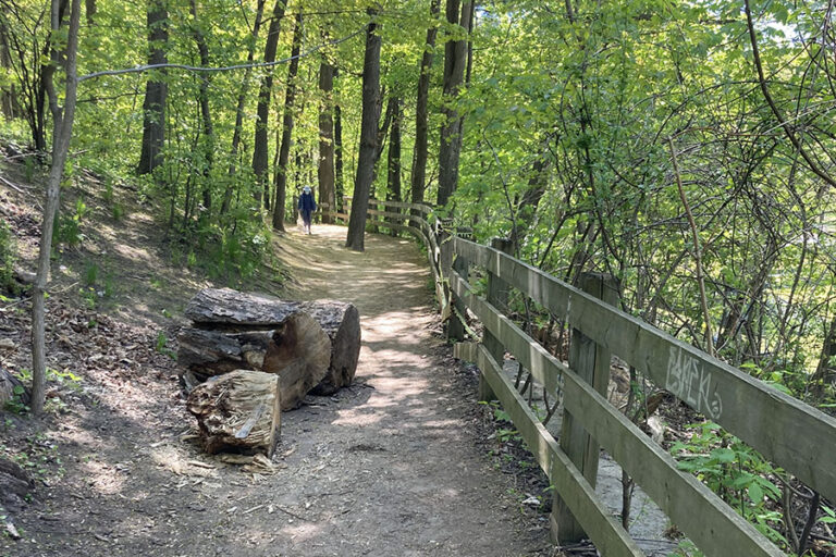 The 12 best bike trails in Toronto - NOW Toronto