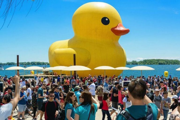 The giant rubber duck is floating back to Toronto... virtually