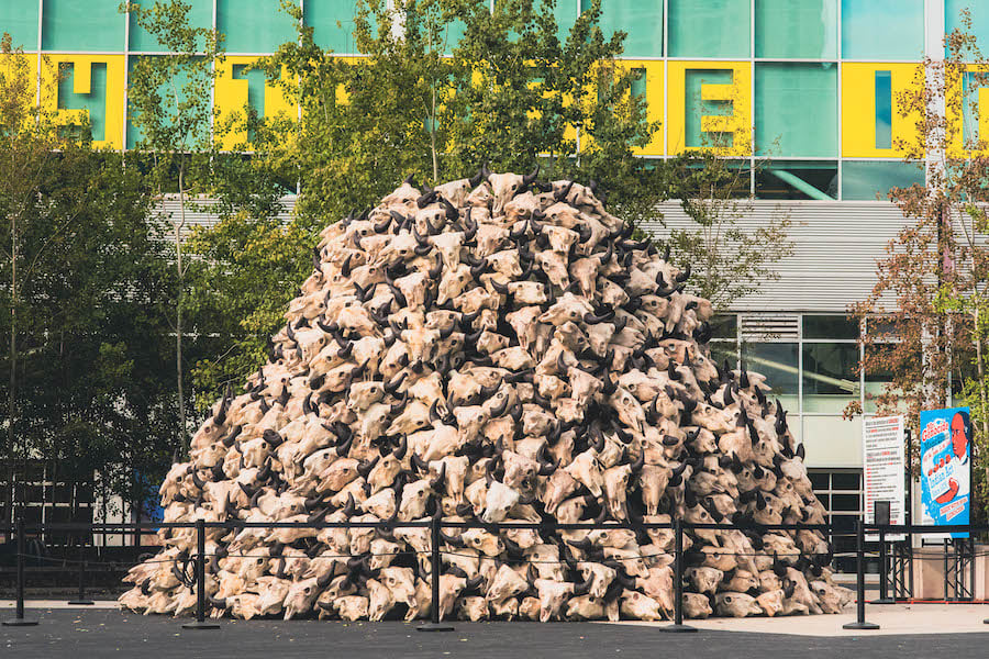 Chippewar's installation reflects on Indigenous genocide in Canada