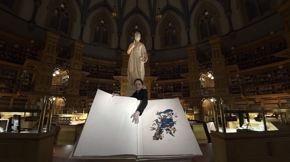 Review: The Library At Night is a handsome, glorified travel ad - NOW ...