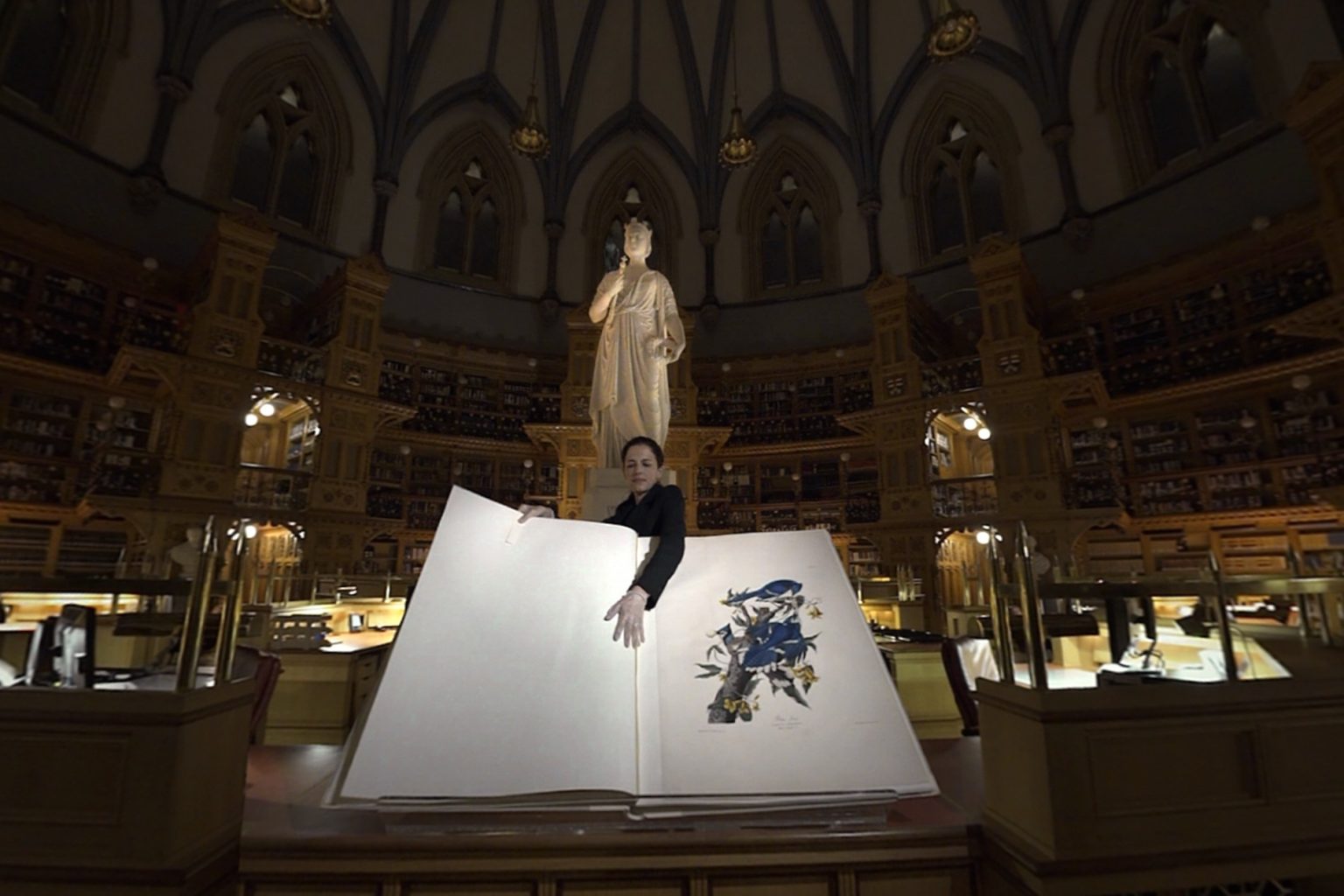 Everything Toronto | NOW Magazine - News - Life - Culture - Real Estate