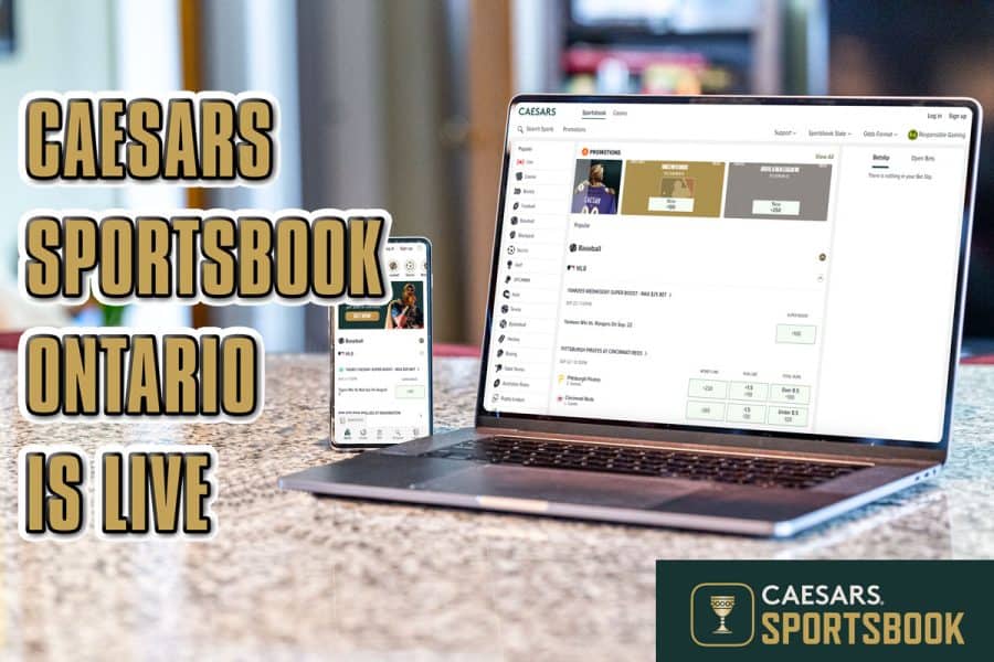 In memoriam: Tracy Curley, cannabis activist, 1973-2019 - NOW Magazine